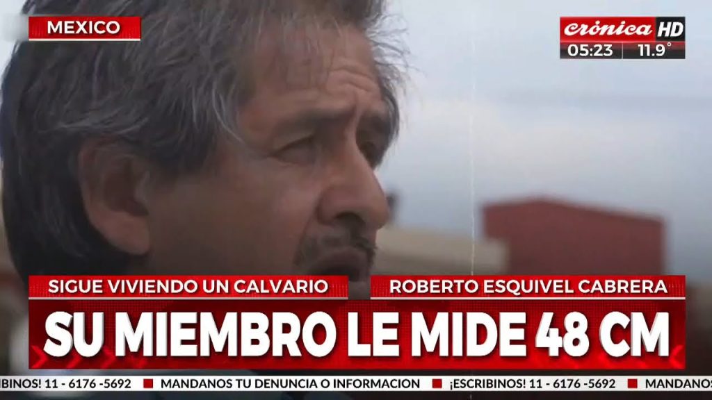 Descubre Cu l Es La Polla M s Grande Del Mundo Una Revelaci n Descubre Cu l Es La Polla M s Grande Del Mundo Una Revelaci n